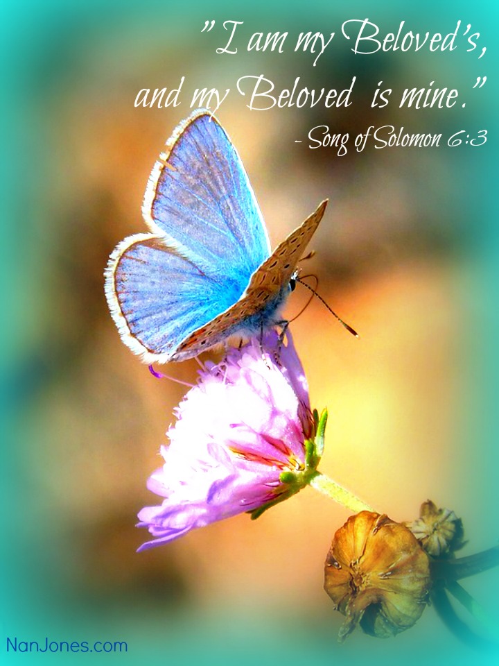 Beloved, Look From Your Wilderness and Behold Your God - Nan Jones