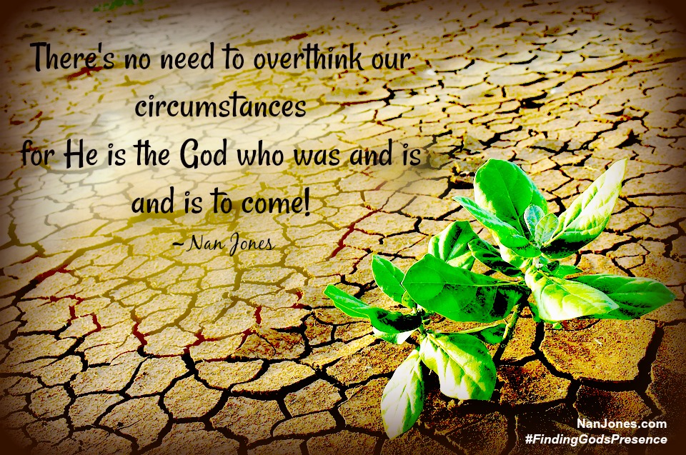 Quietly Following the Shepherd, One Step At a Time - Nan Jones