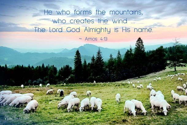 I Found Myself in Stillness Even in the Rushing Wind - Nan Jones